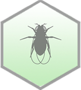 Alliance of Genome Resources